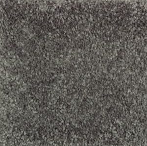 Carpet – Perennial Hardwood and Flooring