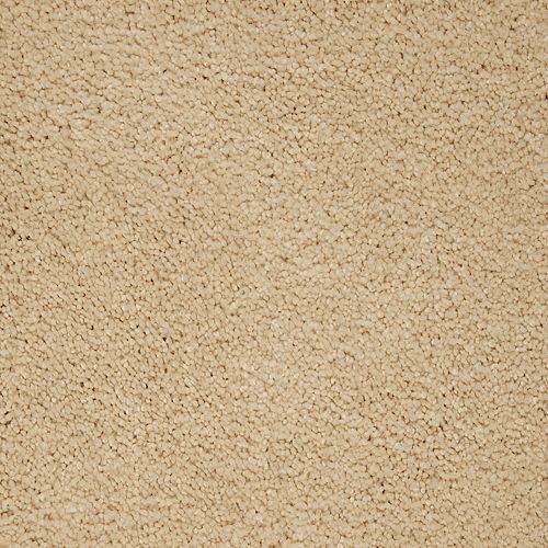 Carpet – Perennial Hardwood and Flooring